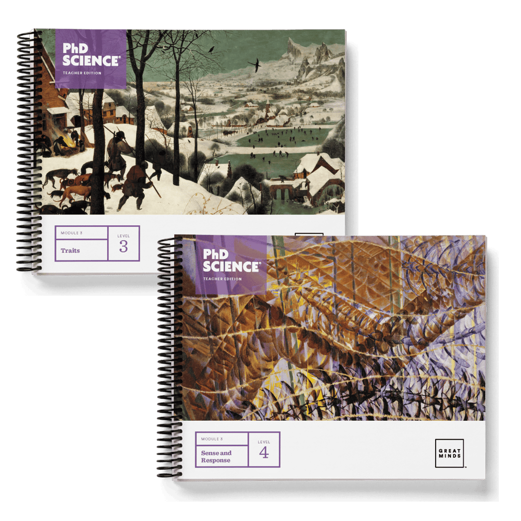 What Are Schemas, and How Can They Help Your Students Learn?