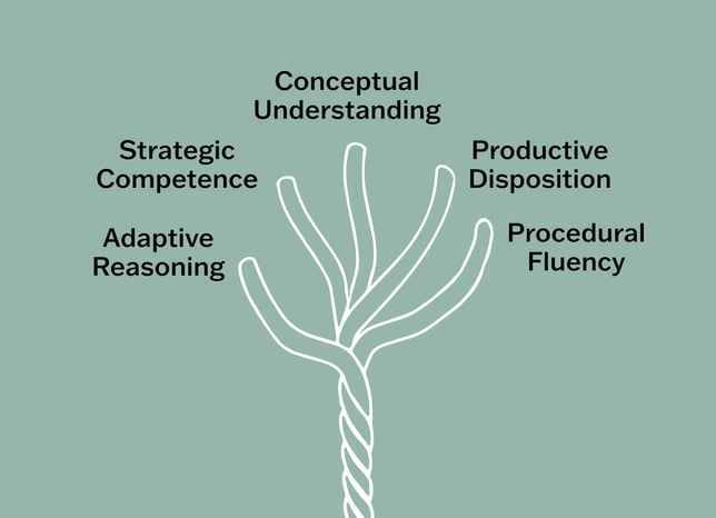 Rethink Your Understanding of the Science of Math | Great Minds