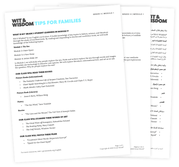 What's Included in Wit & Wisdom