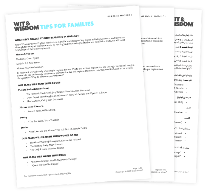 What's Included in Wit & Wisdom