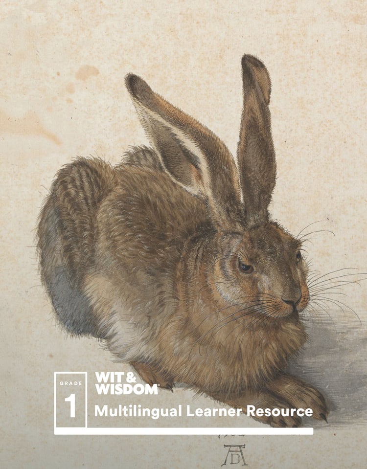 What’s New in Wit & Wisdom?