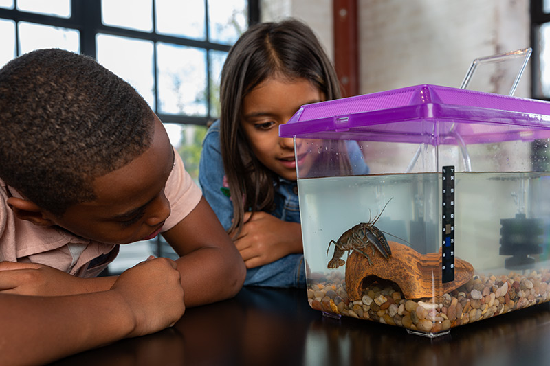 NGSS Alignment: Leveraging Instructional Shifts in Science